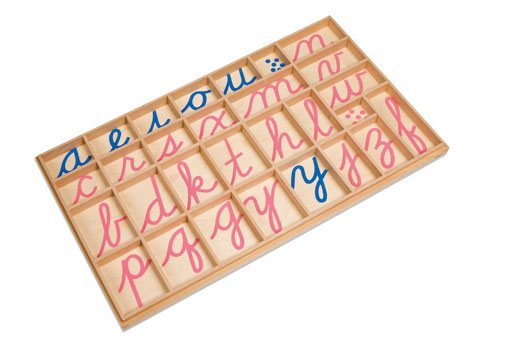 Large Movable Alphabet Nienhuis sold by Montessori Design