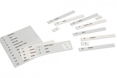 First Set of Botany Cards - Montessori Design
