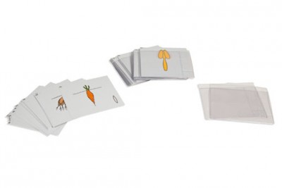 Second Set of Botany Cards - Montessori Design