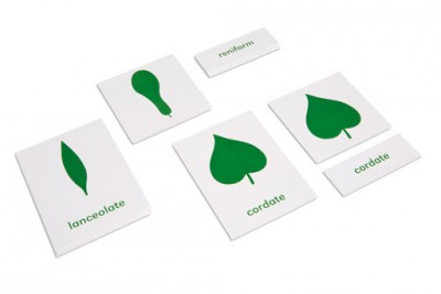 Botany Cabinet & Cards - Montessori Design